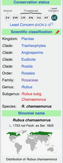 Foraging plants in the norwegian mountains – 10. My working practice ...