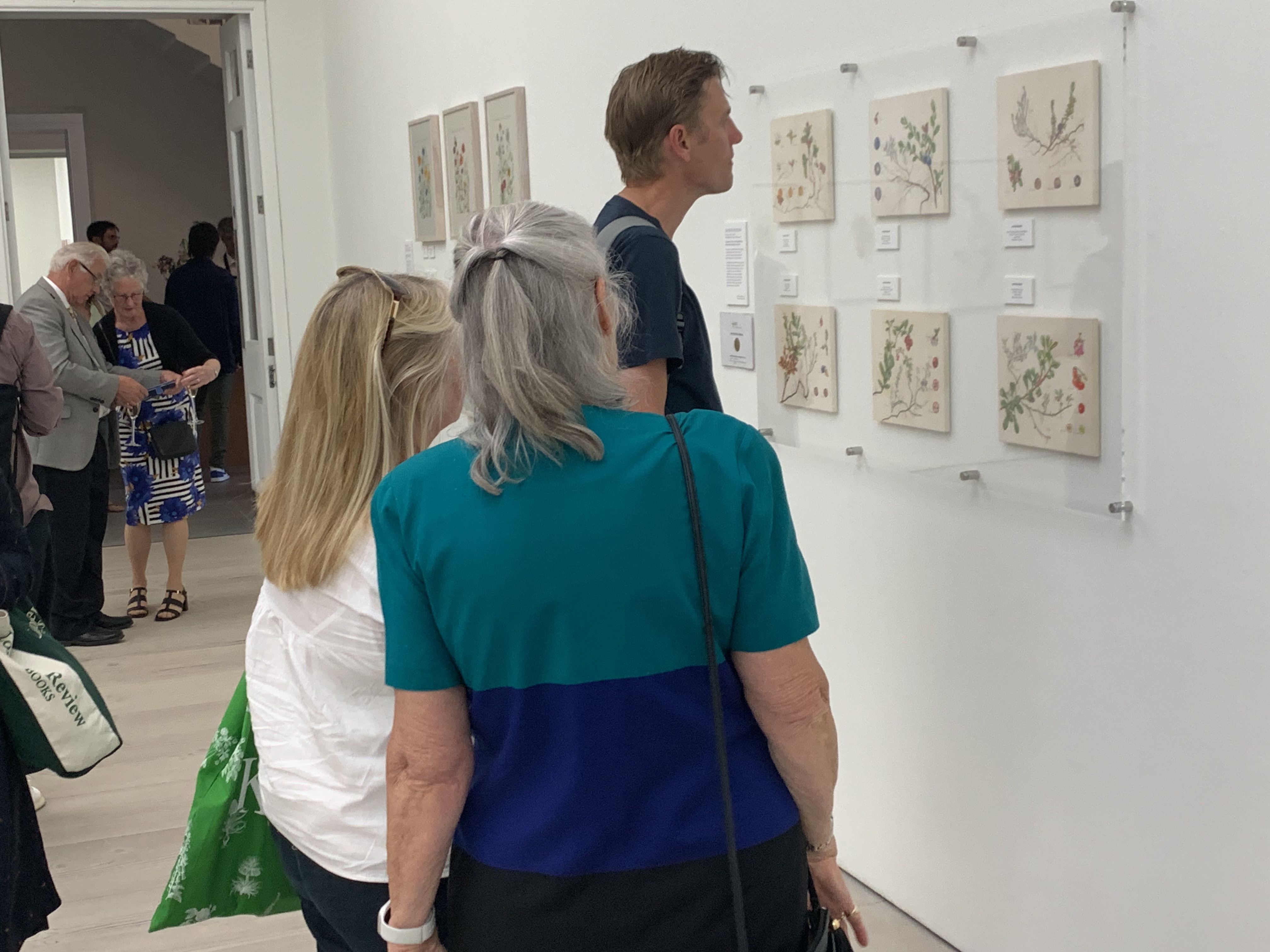 Foraging plants in the norwegian mountains – Judges Feedback – GAYNOR'S ...